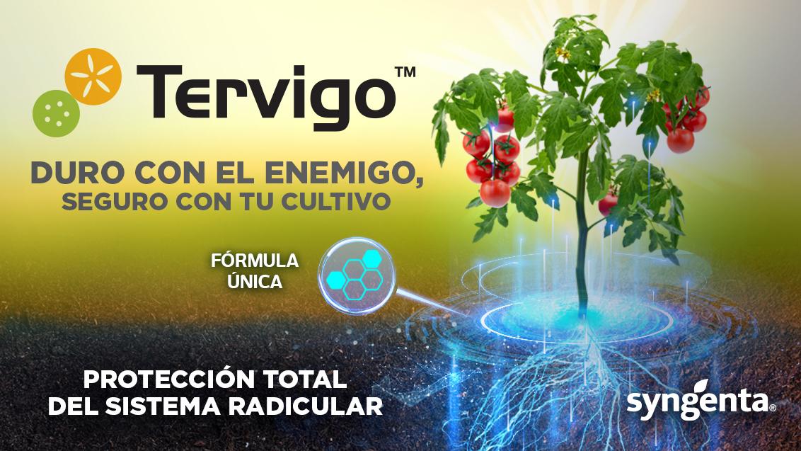 Syngenta México | Soluciones Agricolas para Maximizar y Proteger tus ...